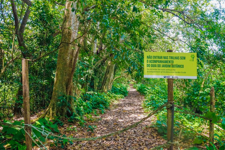 Férias no Jardim oferece atividades educativas e de lazer ambiental aos ...